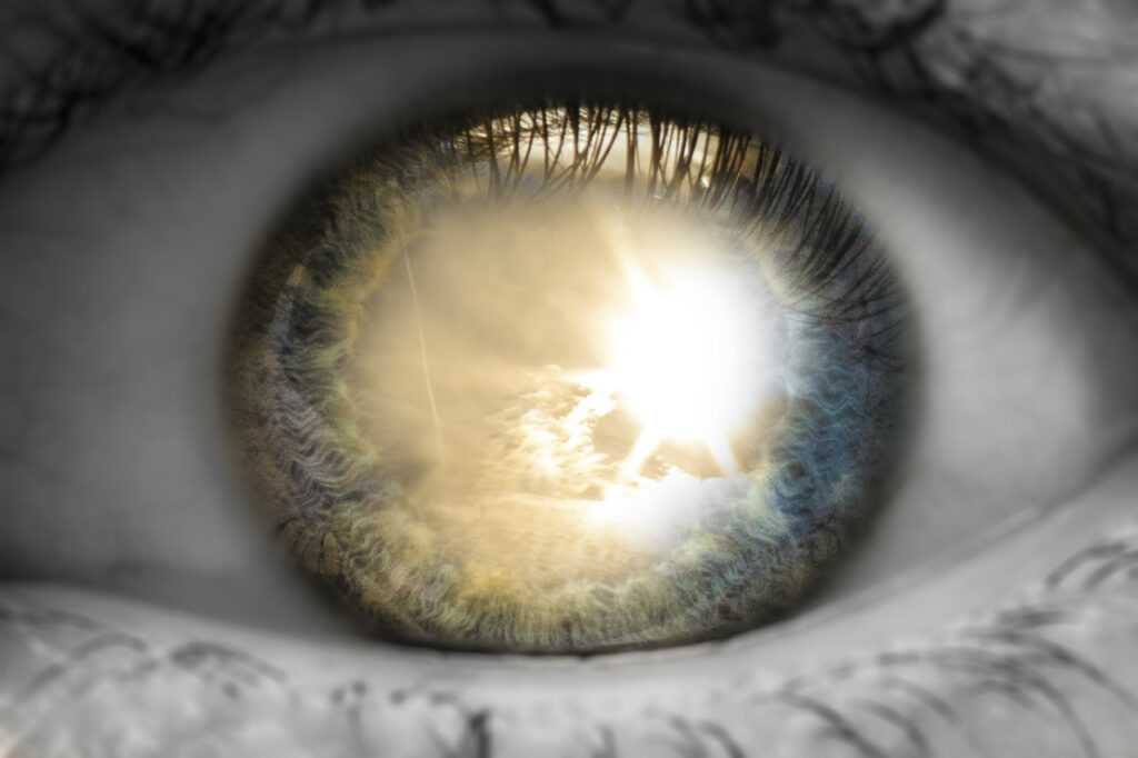 A Flash of Light – Unshaken Hope Ministries